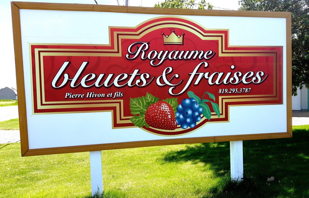 Autocueillette de fraises dans Des Chenaux - Tourisme des Chenaux