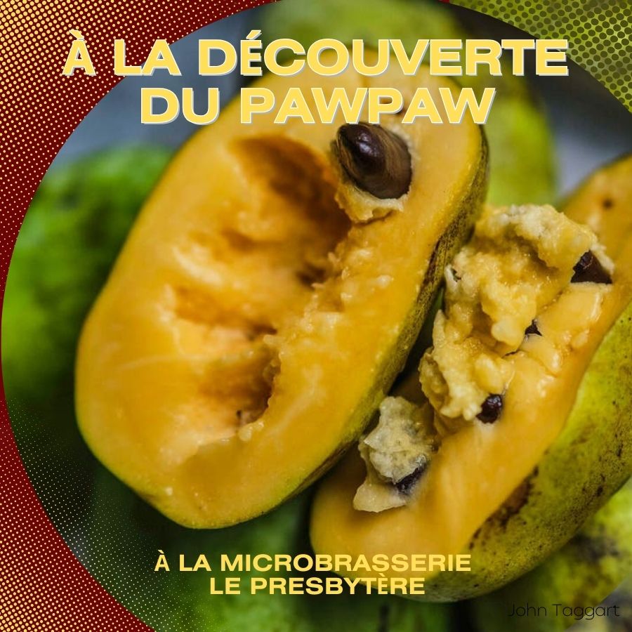 À la découverte gastronomique du paw paw - Tourisme des Chenaux